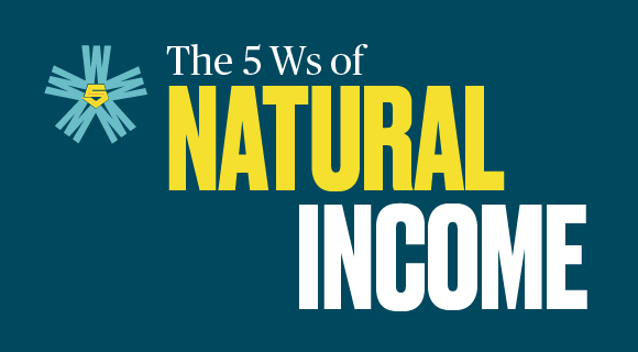 The 5 Ws of Natural Income